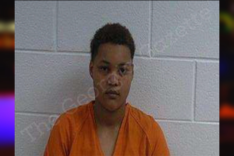 Trinity Ford — Polk County Jail Bookings