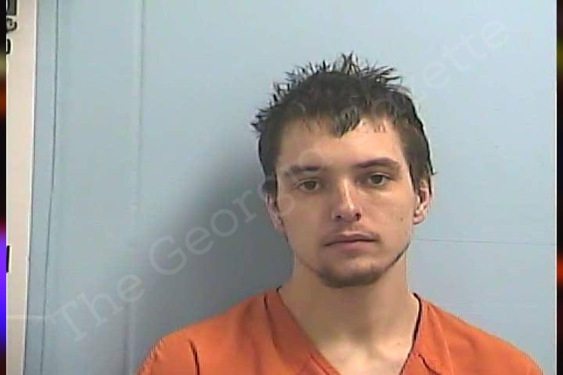 Ryan Fowler — Dawson County Jail Bookings