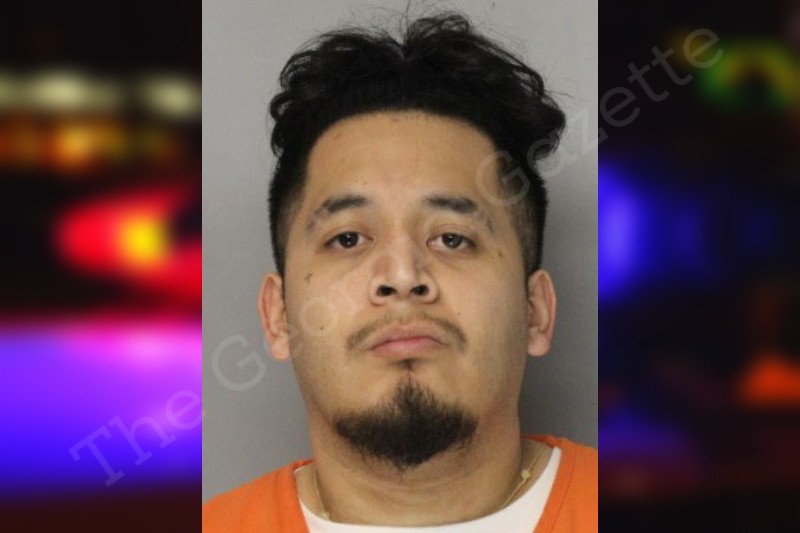 Alexis Garza — Hall County Jail Bookings