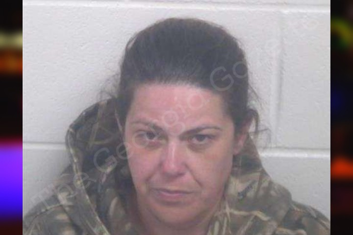 Jennifer Giles — Washington County Jail Bookings