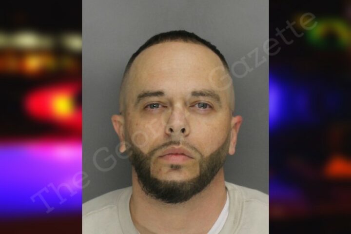 Alexander Gross — Cobb County Jail Bookings