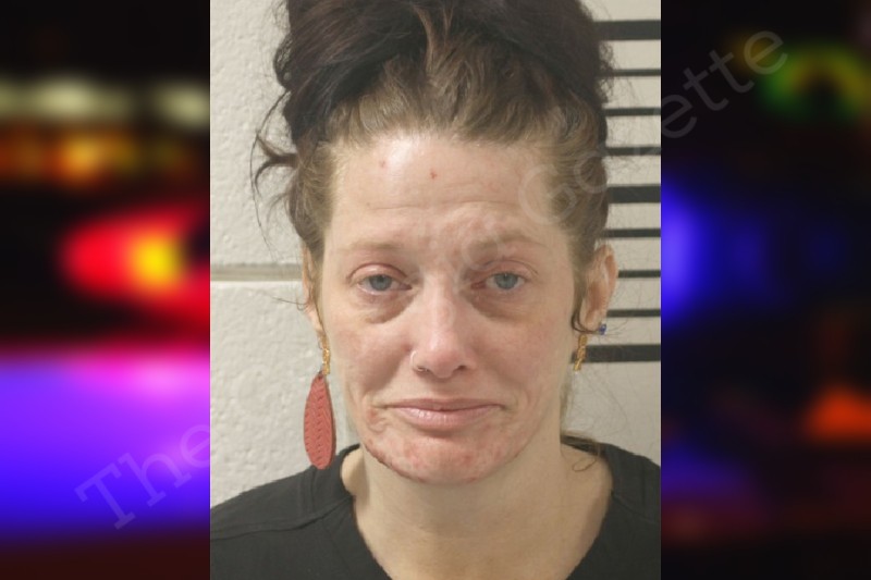 Jessika Gudeman — Toombs County Jail Bookings