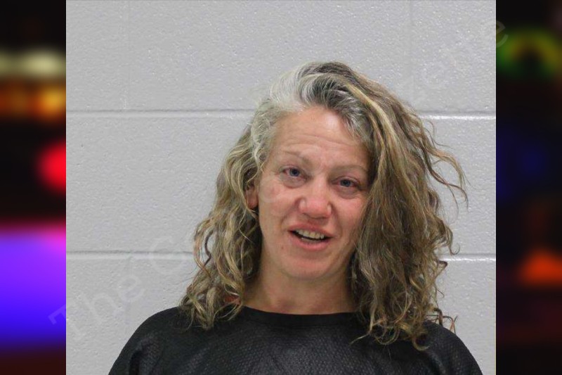Jennifer Harkins — Carroll County Jail Bookings