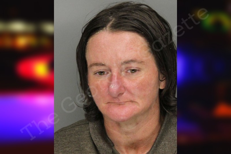 Hayley Hood — Cobb County Jail Bookings