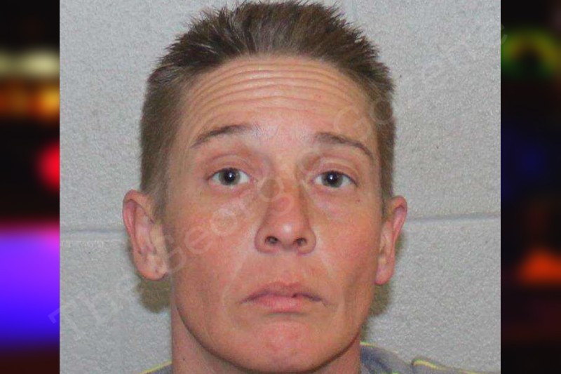 Crystal Houk — Harris County Jail Bookings