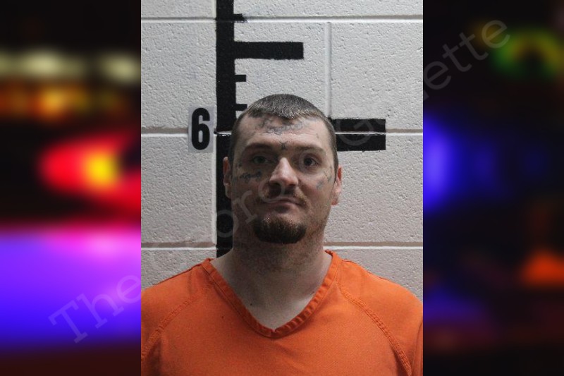 Timothy Hampton — Murray County Jail Bookings