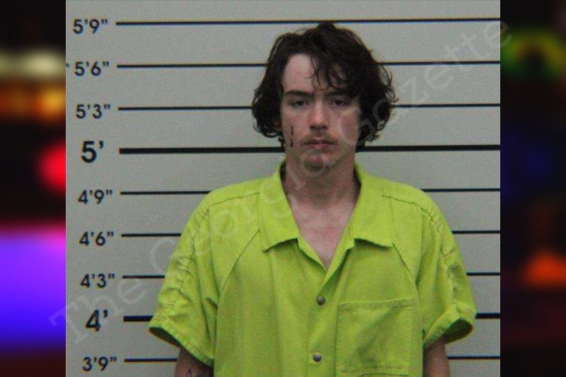 Levi Harris | Turner County Jail Bookings