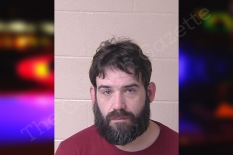 Charles Hartsell — Walker County Jail Bookings