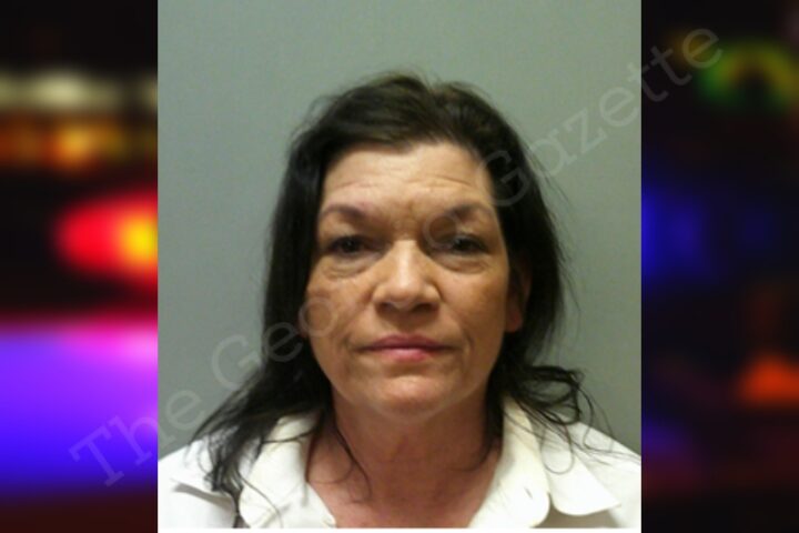 Debby Hooper — Towns County Jail Bookings