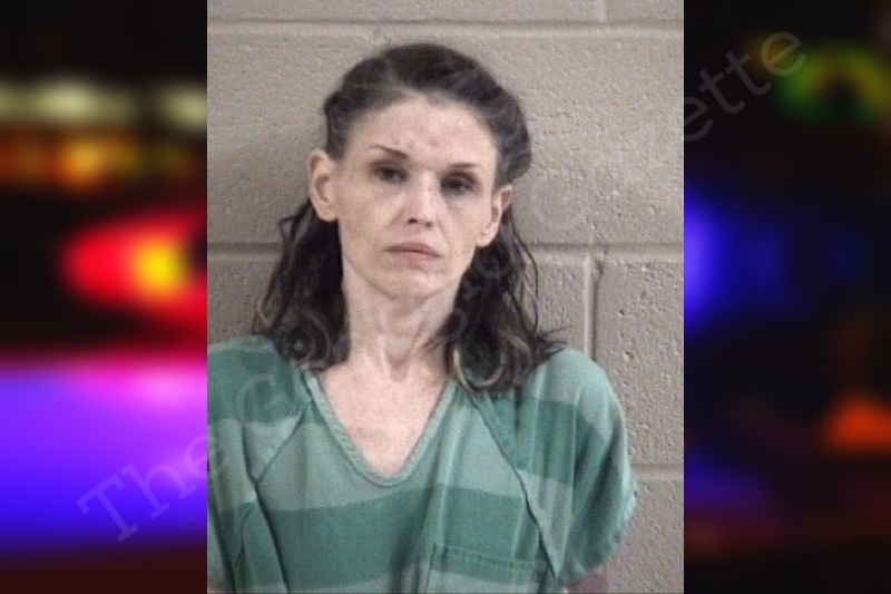 Amber Hueramo — Whitfield County Jail Bookings