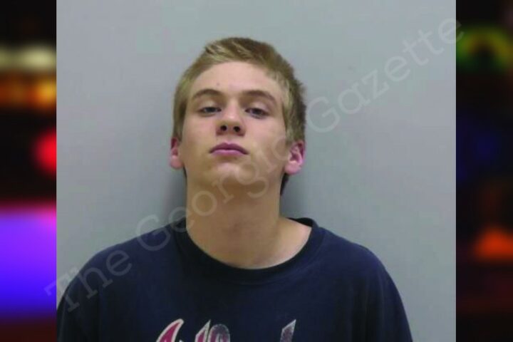 Caleb Hunt — Bartow County Jail Bookings