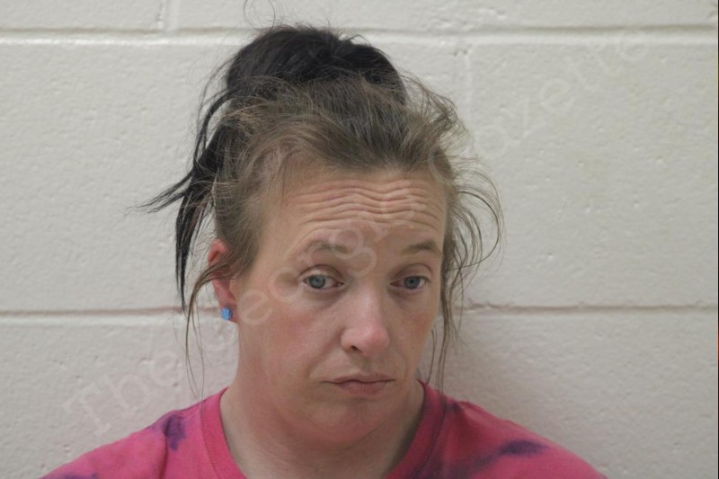 Lisa Kinsey — Jones County Jail Bookings