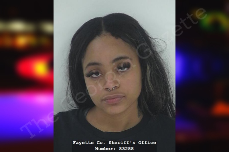 Kylei King — Fayette County Jail Bookings