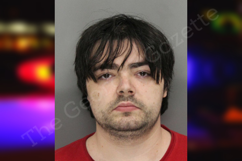 Joshua Langley — Cobb County Jail Bookings