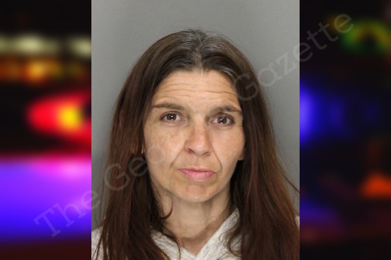 Desiree Lanzo — Cobb County Jail Bookings