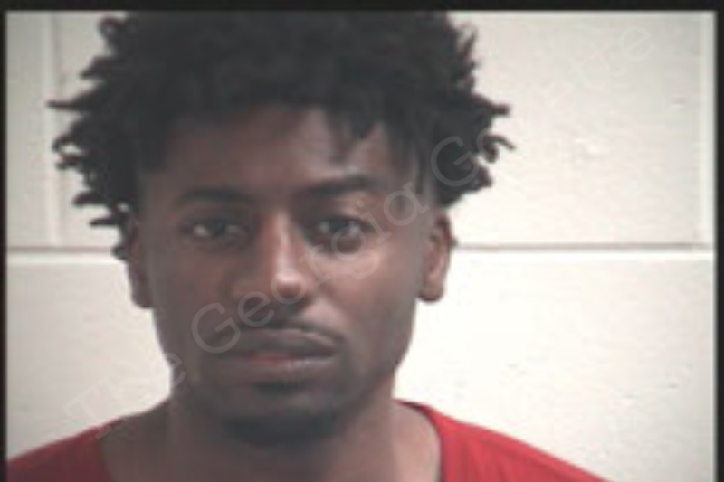 Michael Locklin — Henry County Jail Bookings