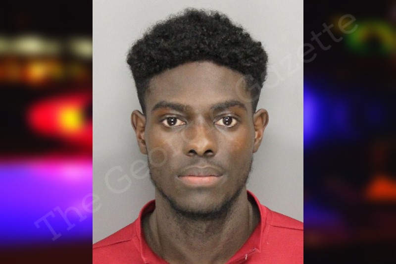 Timothy Longs — Cobb County Jail Bookings