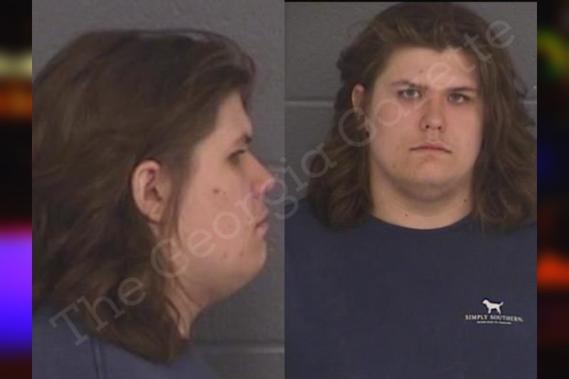 Travis Lehman — Barrow County Jail Bookings