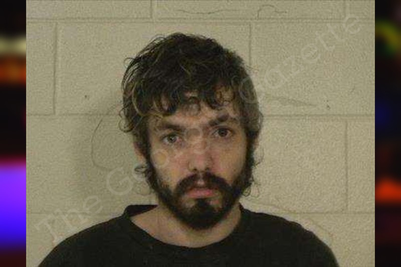 Gage Lewis — Liberty County Jail Bookings