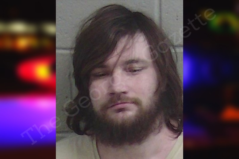 Michael Lightcap — Wayne County