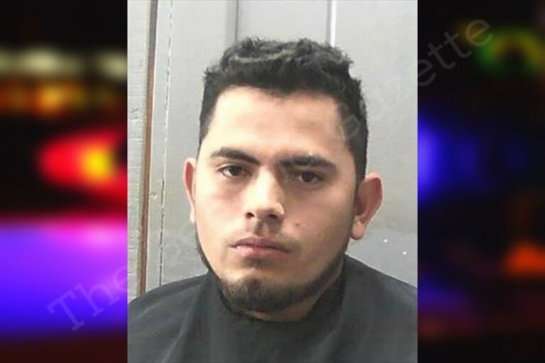 Wilfredo Lopez Romero — Hart County Jail Bookings