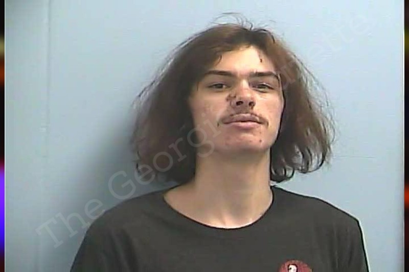 Kyler Lovering — Dawson County Jail Bookings