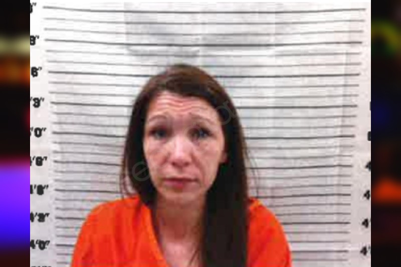 Laura Lowe — Pickens County Jail Bookings