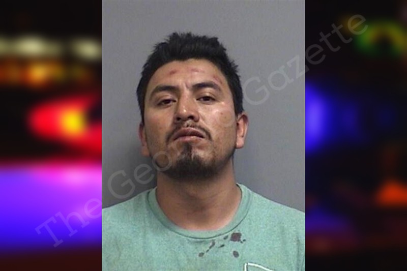 Melvin Lucas Martinez — Effingham County