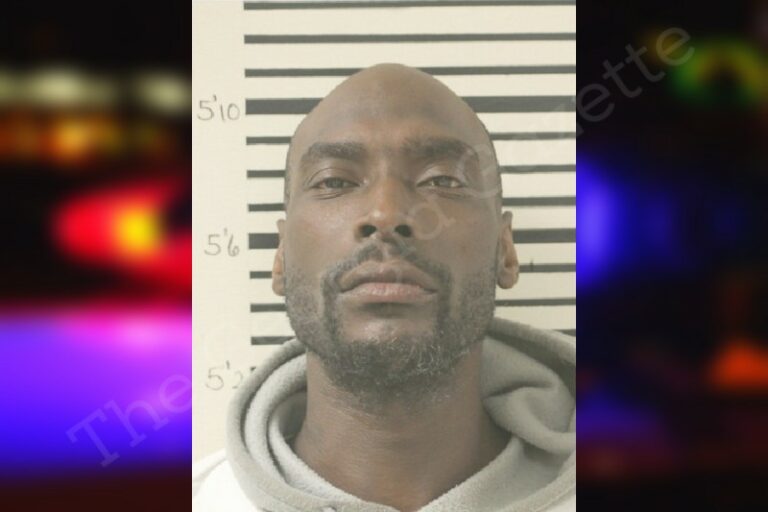 Brian Mobley — Toombs County Jail Bookings