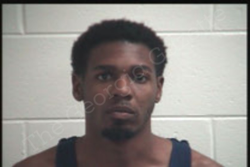 Timothy Moon | Henry County Jail Bookings