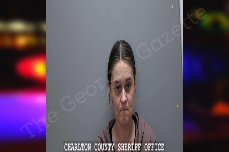 Brittany Maddox — Charlton County Jail Bookings