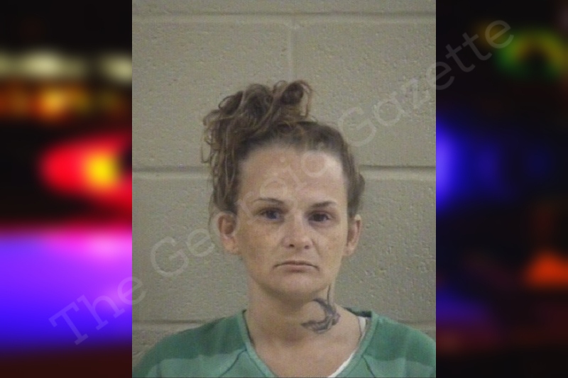 Shana Mallett — Whitfield County Jail Bookings