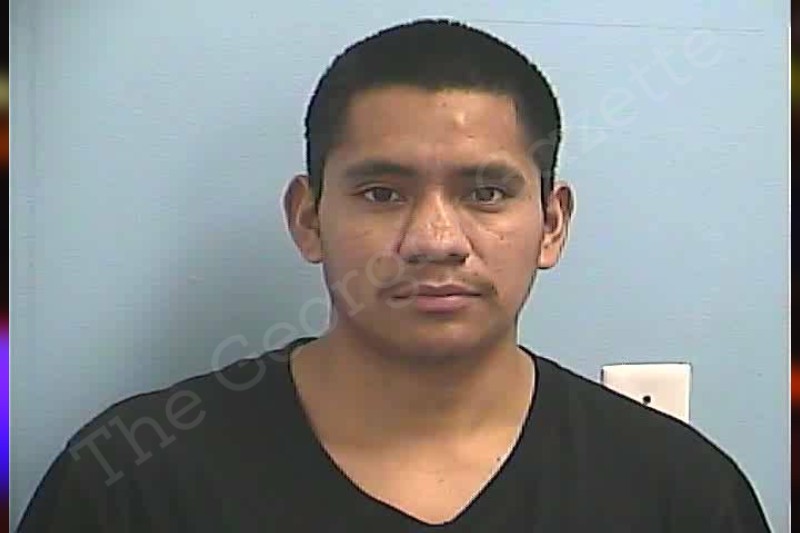 Selvyn Marin De Leon — Dawson County Jail Bookings