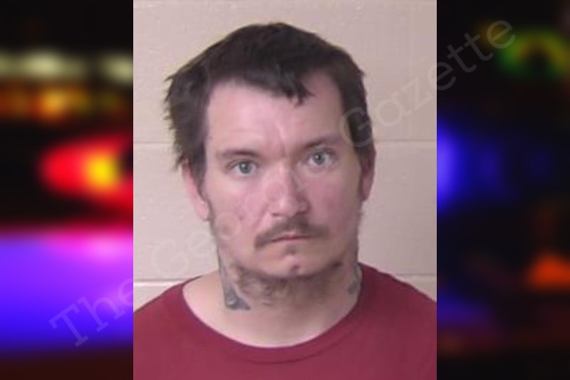 David McCormick — Walker County Jail Bookings