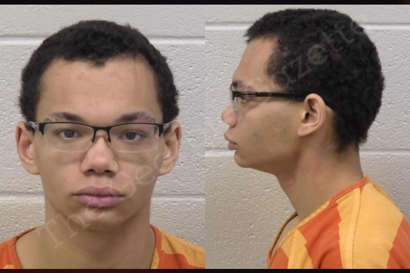 Gavin McMahon — Paulding County Jail Bookings