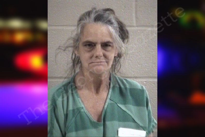 Lucy Melesky — Whitfield County Jail Bookings