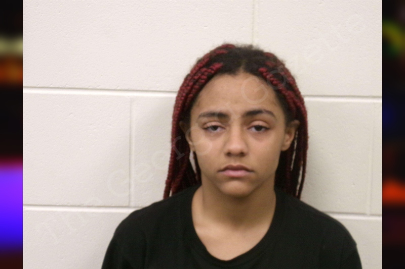 Riann Mells — Bulloch County Jail Bookings