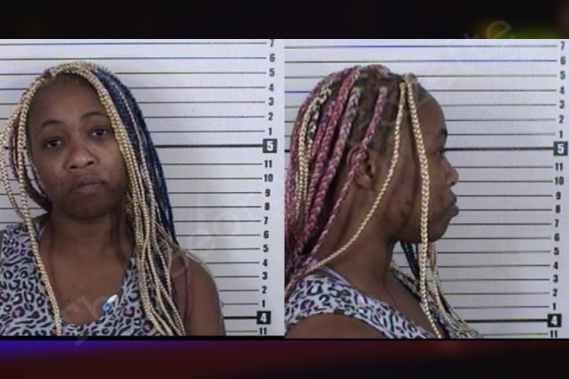 Shantia Melton — Camden County Jail Bookings