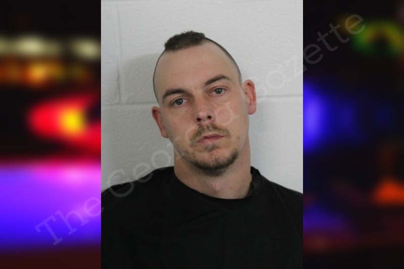 Robert Mize — Floyd County Jail Bookings