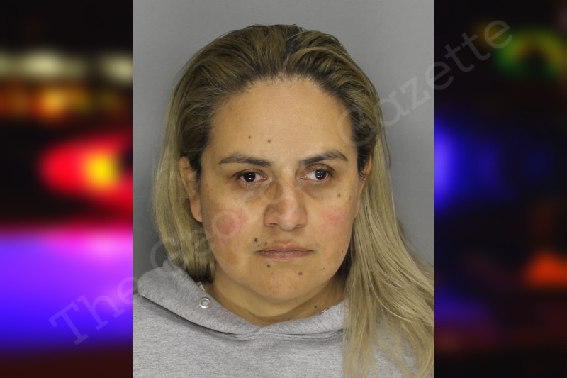 Lizeth Negrete — Cobb County Jail Bookings