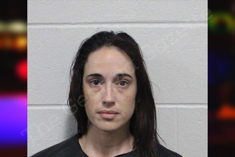 Crystal Negron — Habersham County Jail Bookings