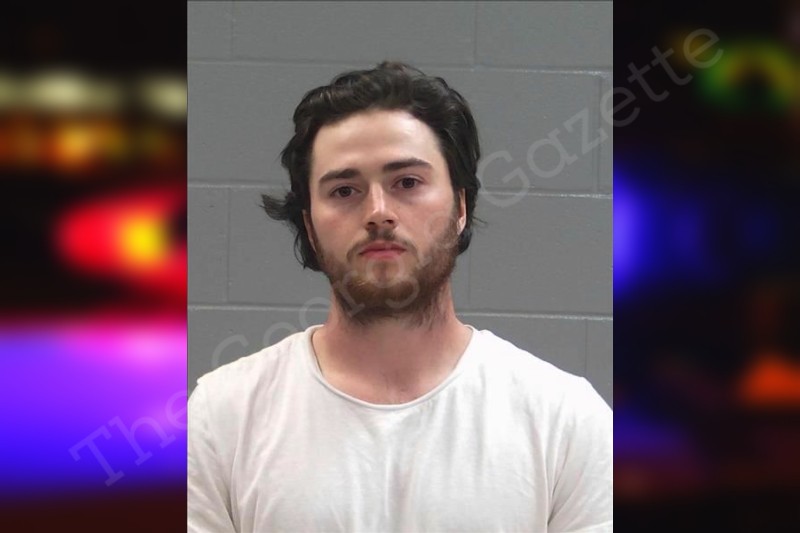 Mason Nickens — Baldwin County Jail Bookings