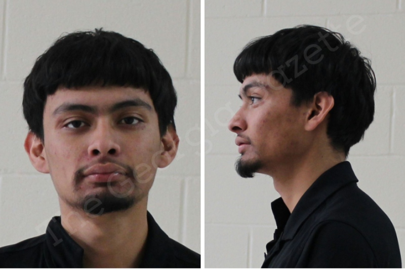 Alexis Nava — Houston County