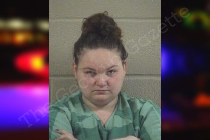 Alexis Norton — Whitfield County Jail Bookings