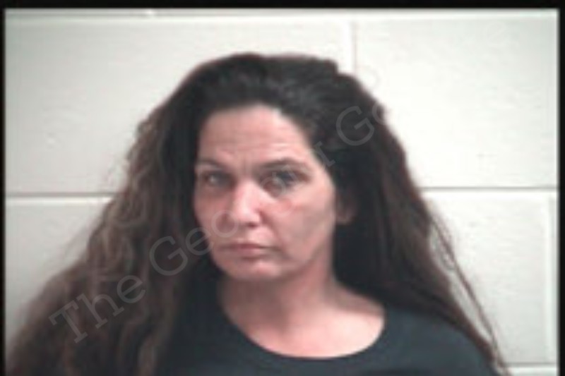 Jamie Pitt — Henry County Jail Bookings