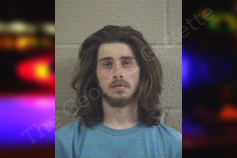 Devin Patton — Whitfield County Jail Bookings