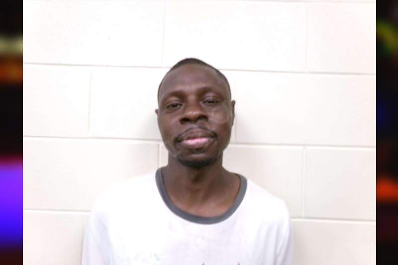 Randy Perkins — Bulloch County Jail Bookings