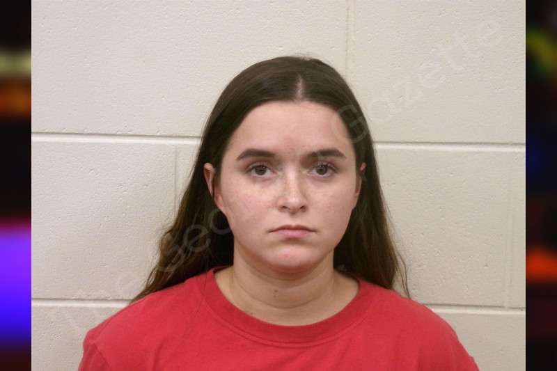 Bailey Perry — Bulloch County Jail Bookings