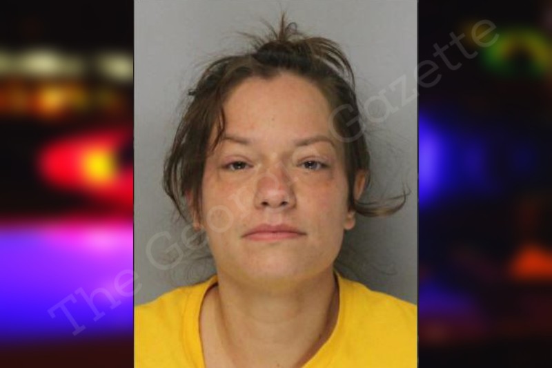 Kaylee Ramirez — Hall County Jail Bookings