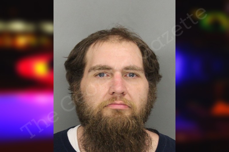 Paul Ray — Cobb County Jail Bookings